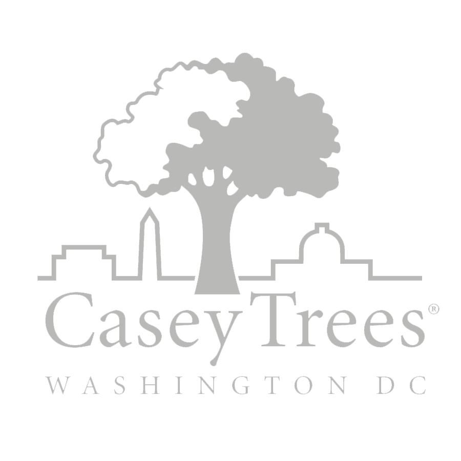 Casey Tree Farm